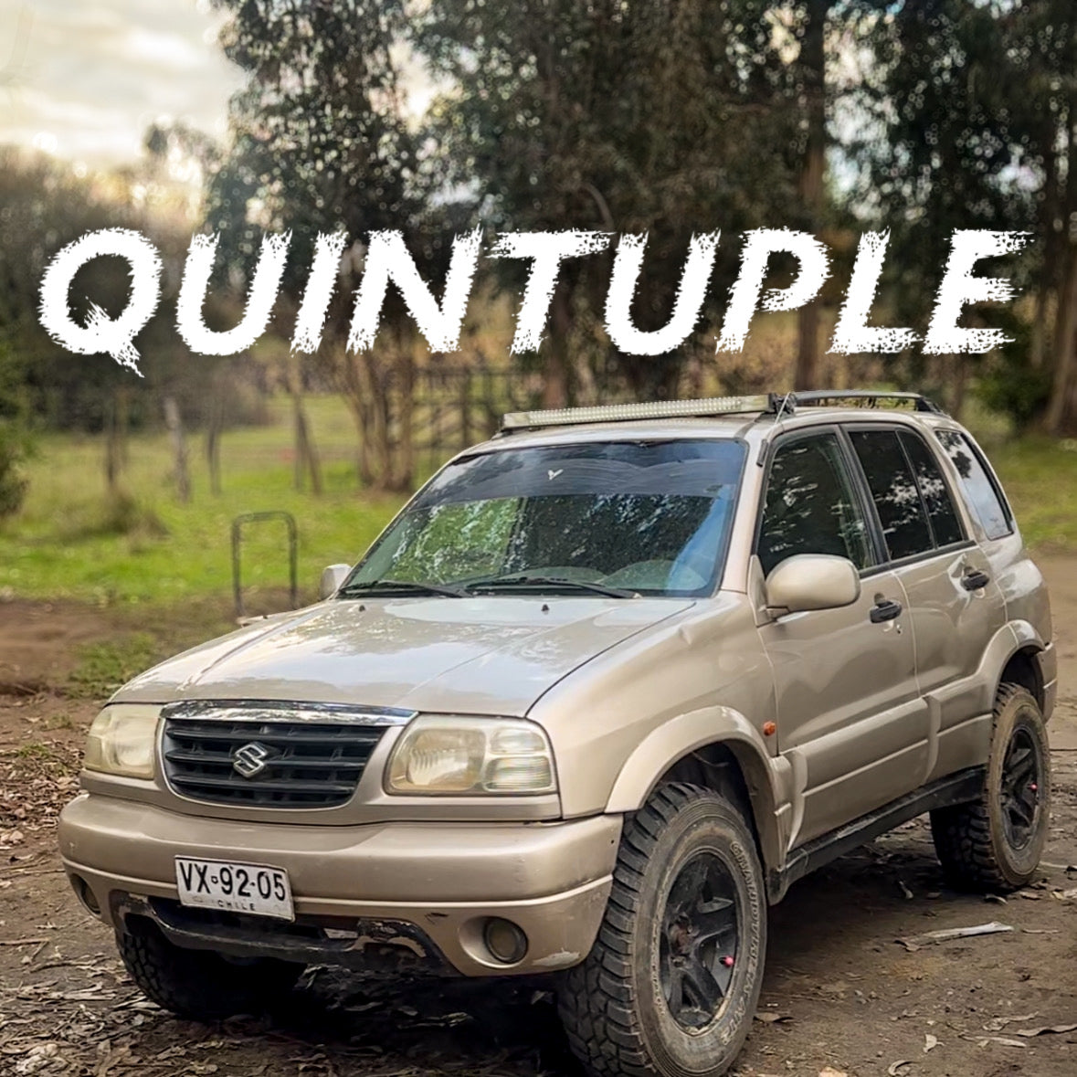 QUINTUPLE — Dorhunt